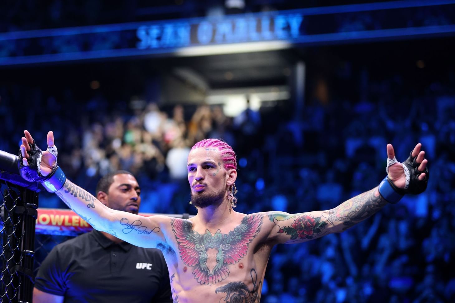 What is Sean O'Malley's weight class?