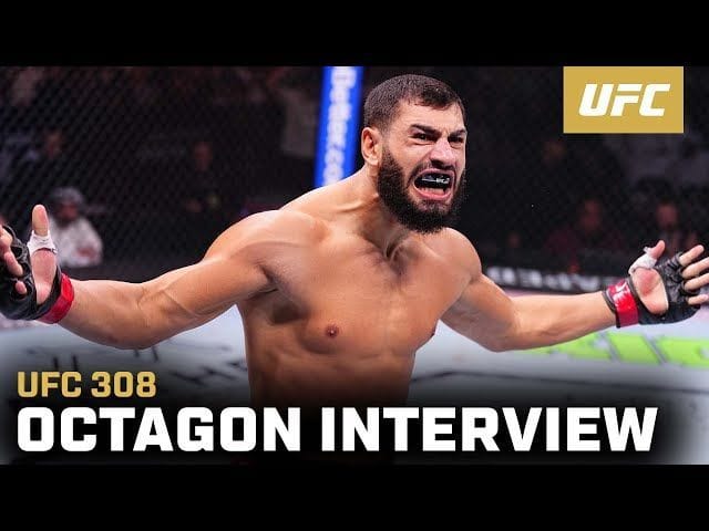UFC Light Heavyweight Rankings & Current Champion - 2024