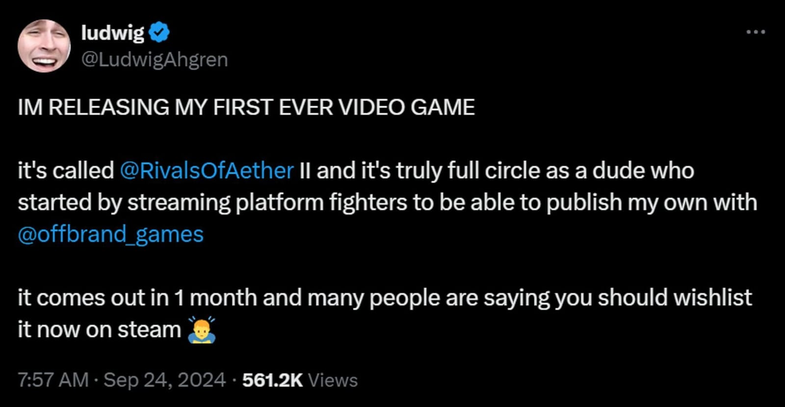 Ludwig made his response to those who called him a "furry" extremely clear