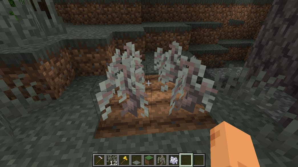 How to grow Pale Oak Tree in Minecraft