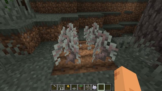 How to grow Pale Oak Tree in Minecraft