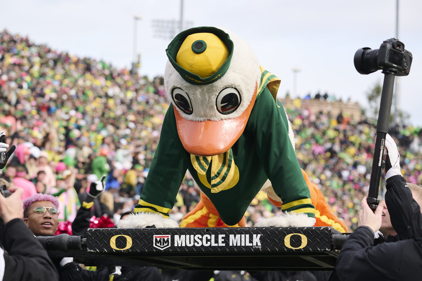 WATCH: Oregon mascot fires up crowd with incredible 22 push-ups at ...