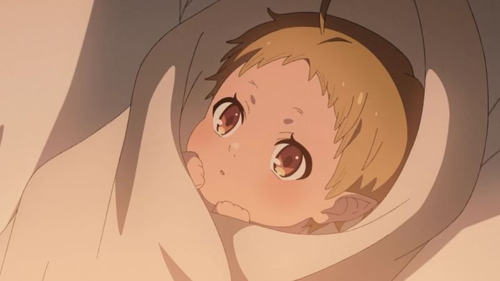 How many wives does Rudeus take?