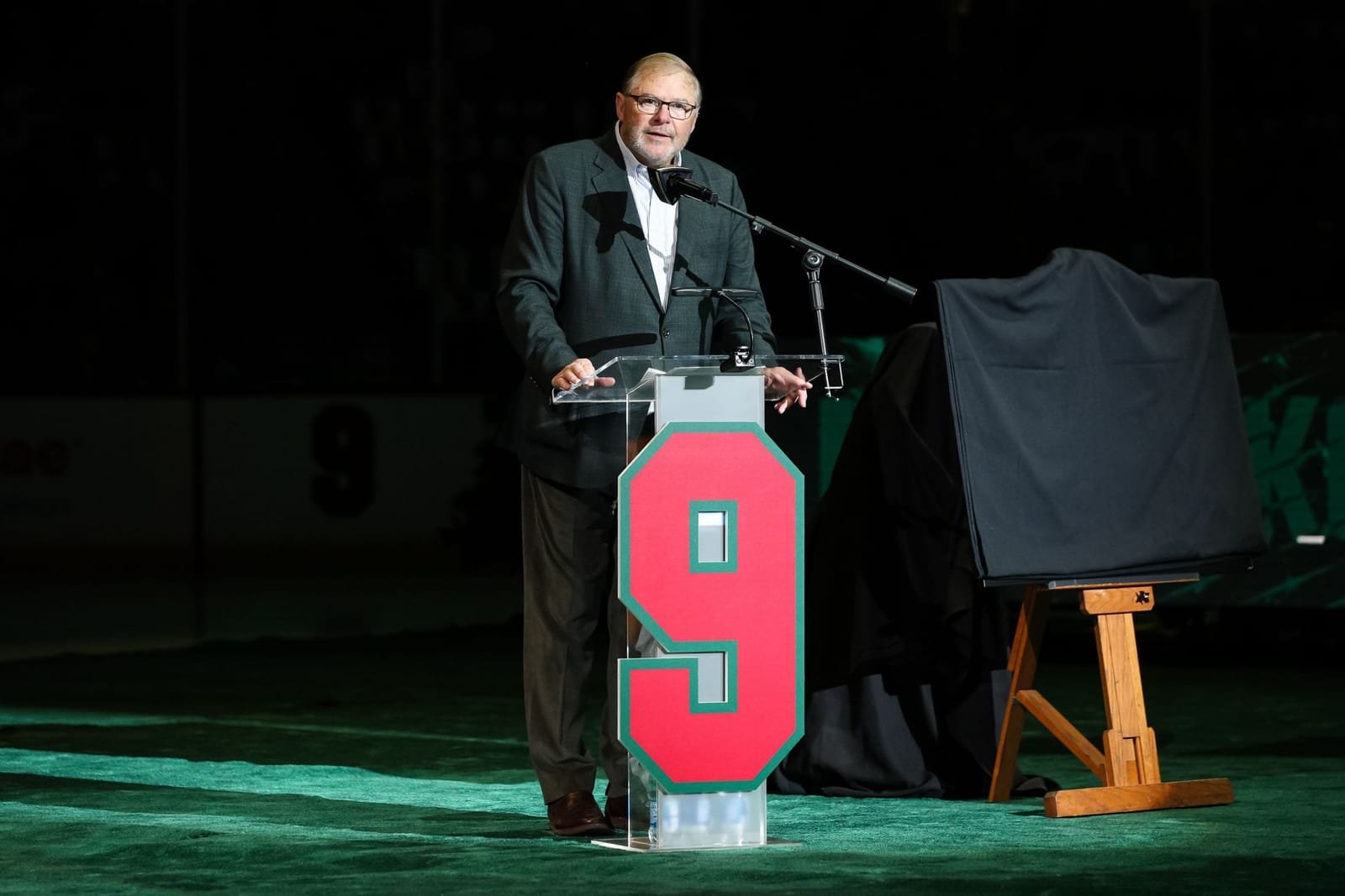 Who is the owner of the Minnesota Wild?