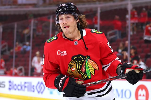 Tyler Bertuzzi's Contract Breakdown, Salary Cap Details, Bonuses, Terms ...