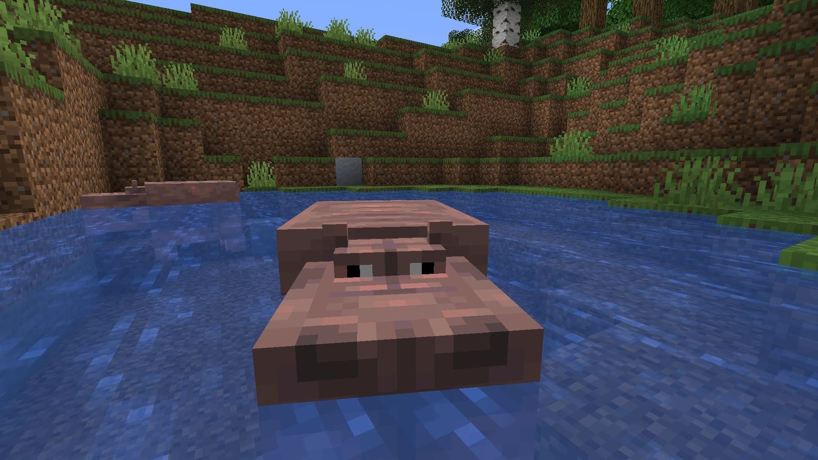 Minecraft Naturalist 2.0 add-on features baby hippos like viral sensation Moo Deng and other ...