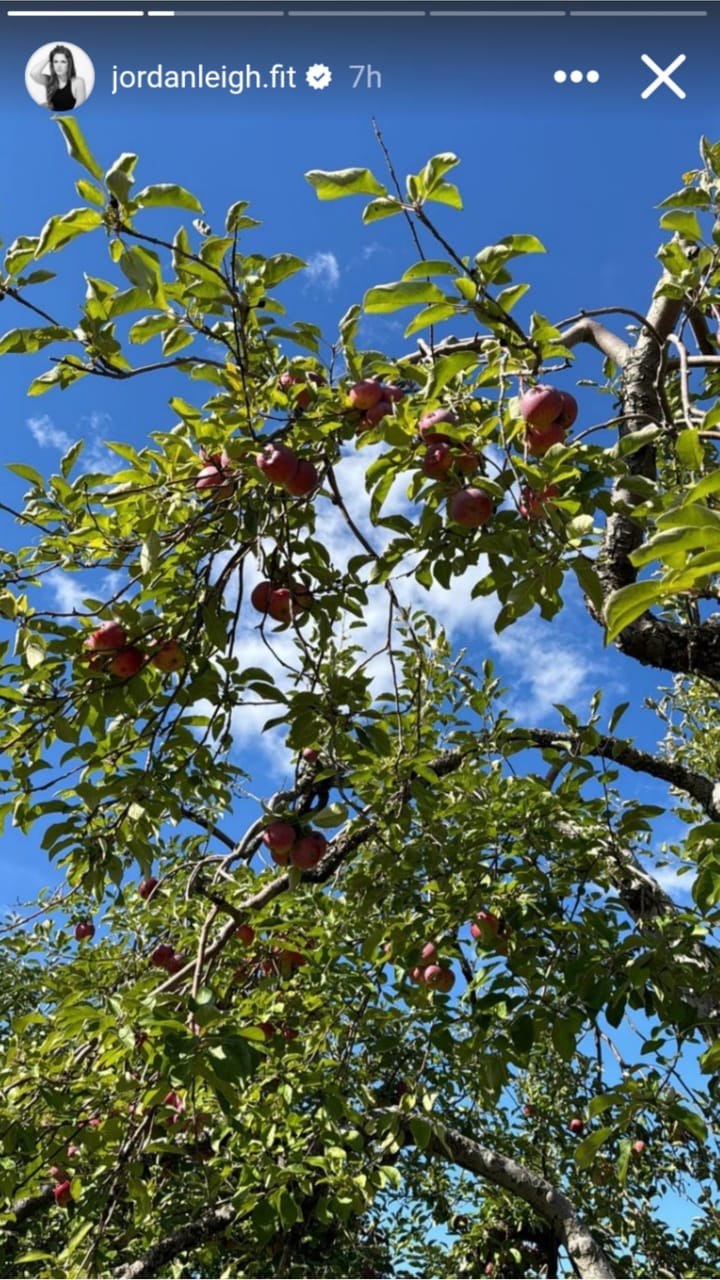 In Photos: Patrik Laine's fiancee Jordan Leigh's girls day out with ...