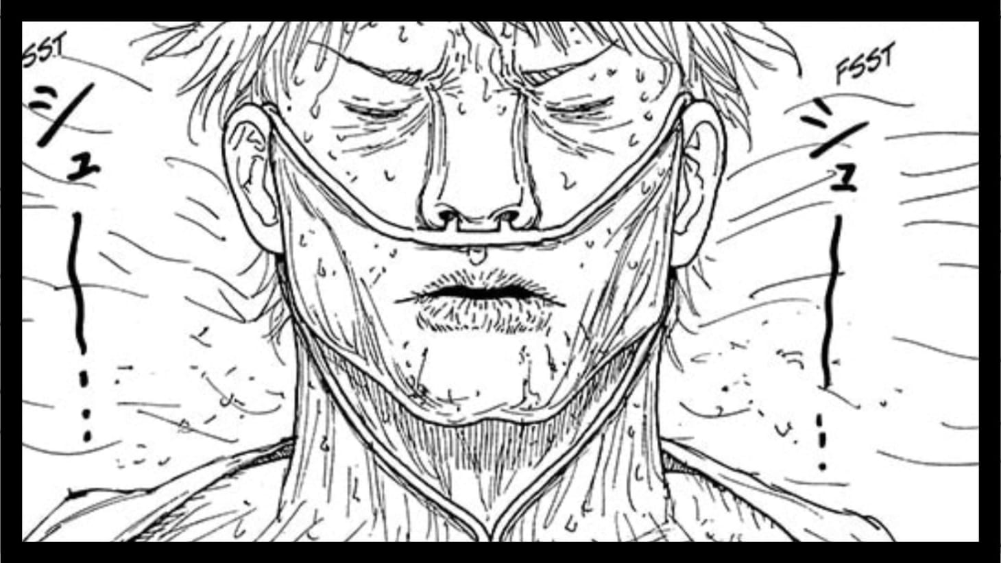 Hunter x Hunter chapter 404: Kurapika learns about Zhang Lei's Guardian ...