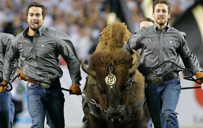 Why Is CU Mascot Named Ralphie?