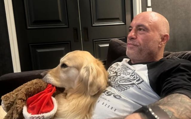 Immigration: Joe Rogan weighs in on "huge and confusing" immigration ...