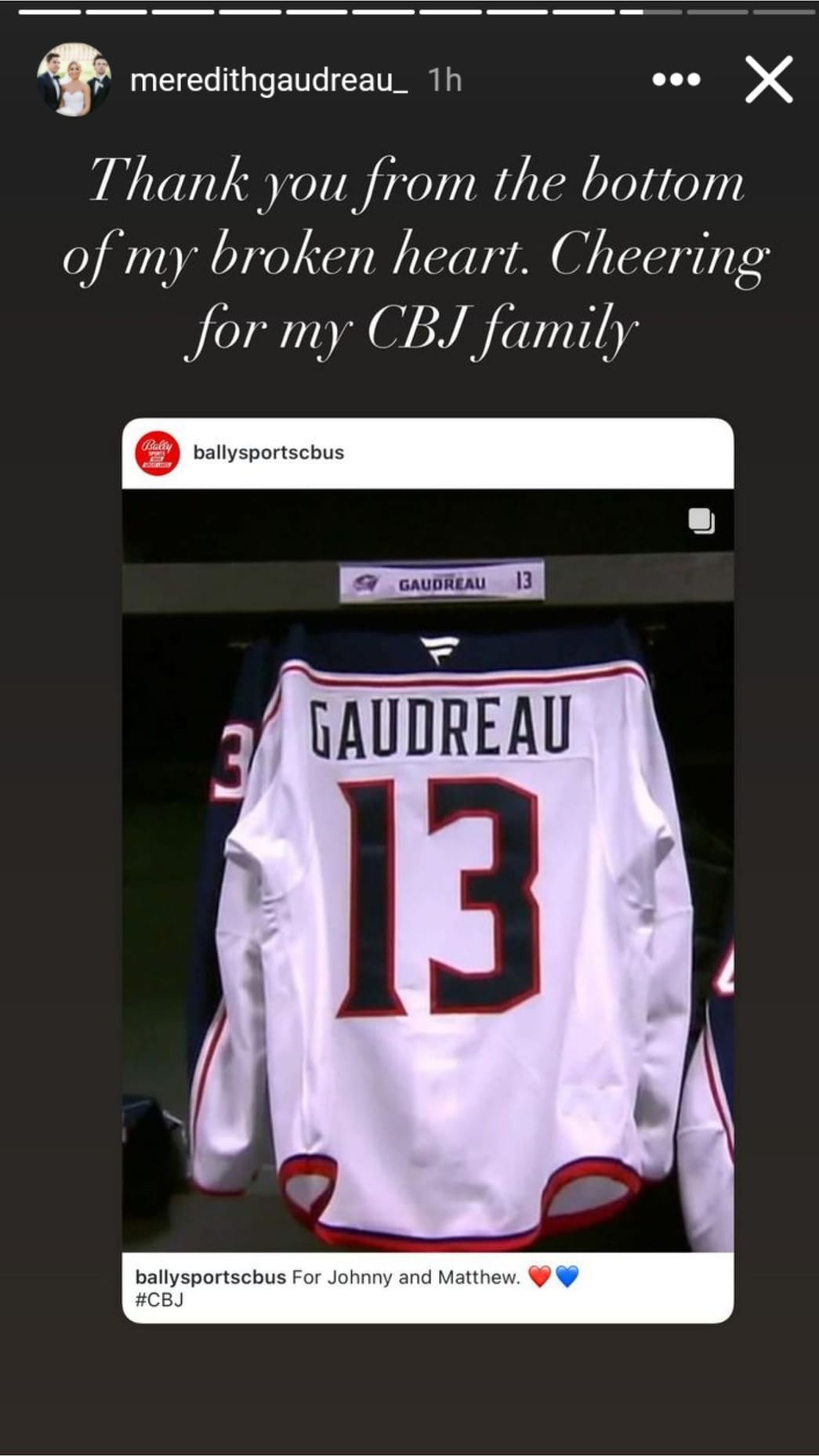 Meredith Gaudreau shares heartwarming reaction to Erik Gudbranson's ...