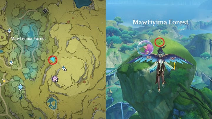 All 7 Lokapala Jungle Aranara locations in Genshin Impact