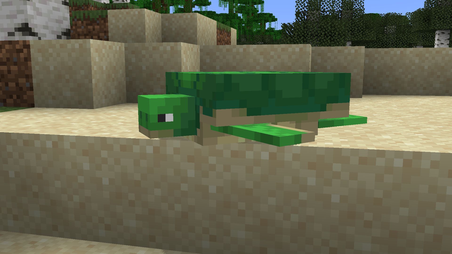 Minecraft turtle guide: Spawning, breeding, uses, and more