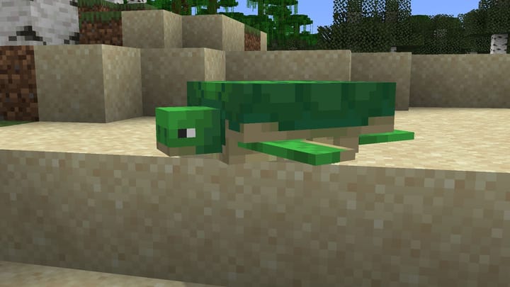 Minecraft turtle guide: Spawning, breeding, uses, and more