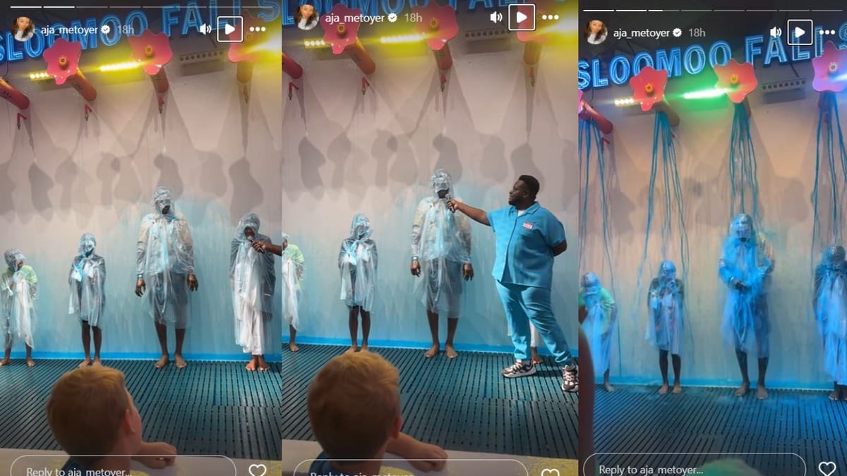 Dwyane Wade's co-parent Aja Metoyer shares fun moments from ex-Warrior ...