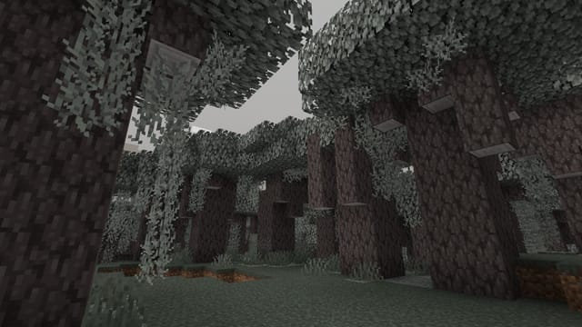 How to find Pale Garden in Minecraft