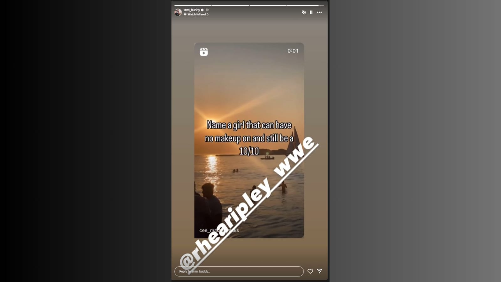 Rhea Ripley's real-life partner Buddy Murphy sends her a message before ...