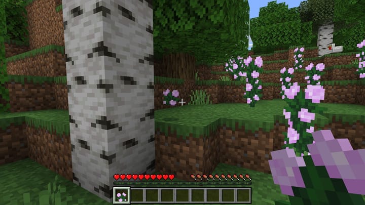 How to download Minecraft Bedrock 1.21.40 Bundles of Bravery update