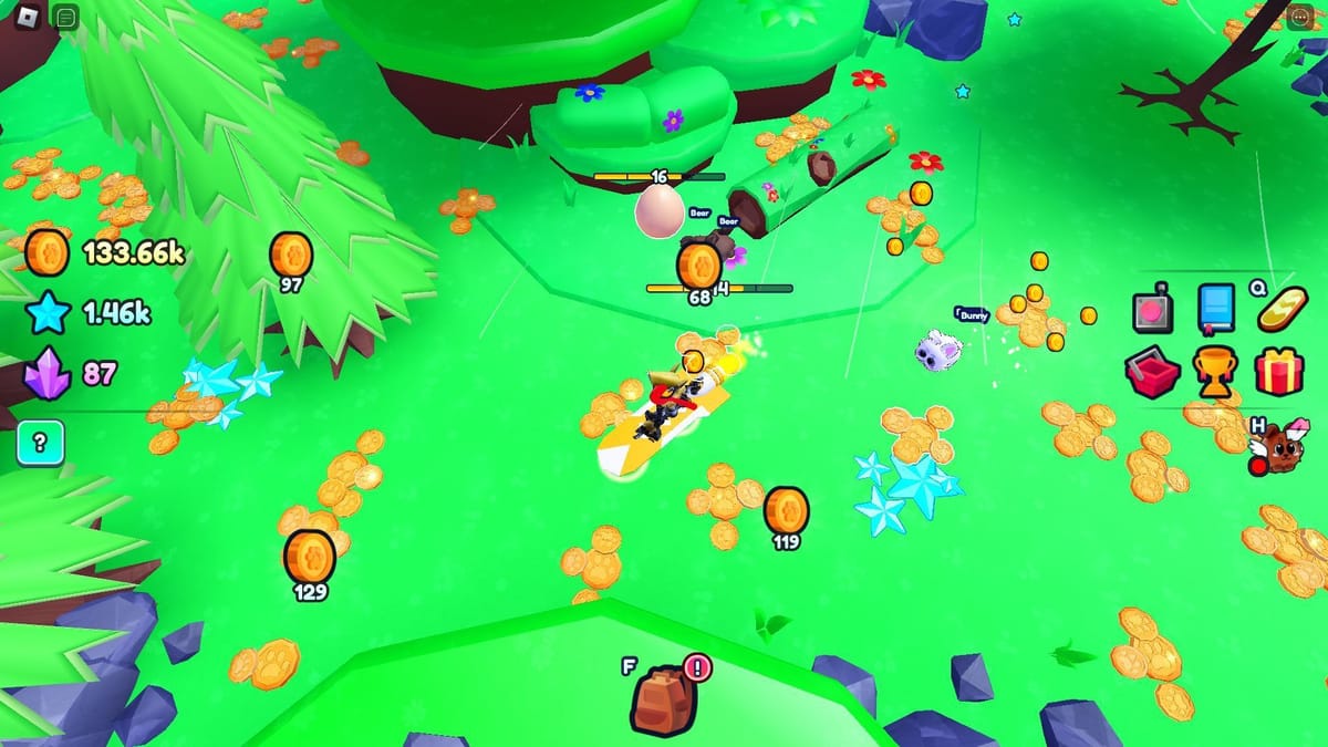 Pet World: A beginner's guide