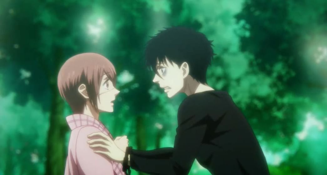 10 best anime to watch if you like Yakuza Fiancé