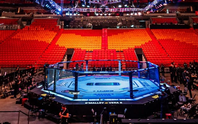 Ex-UFC champion potentially suffering from CTE and traumatic brain ...