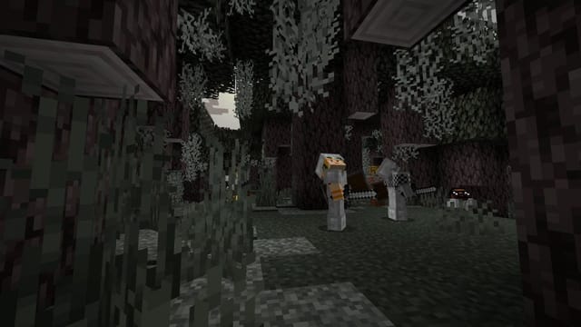 What is the Minecraft Winter Drop update? All you need to know