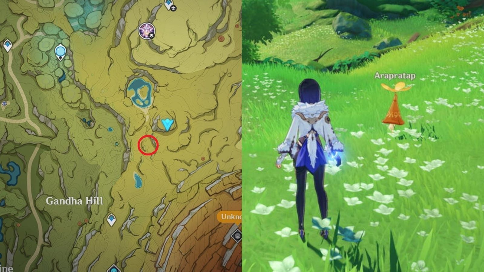 All 7 Lokapala Jungle Aranara locations in Genshin Impact