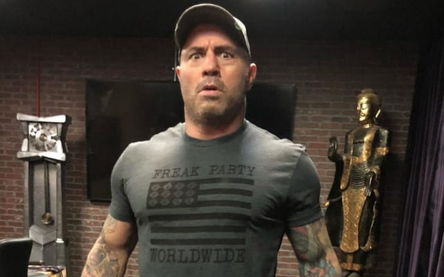 When Donald Trump's niece talked about Joe Rogan's public influence ...