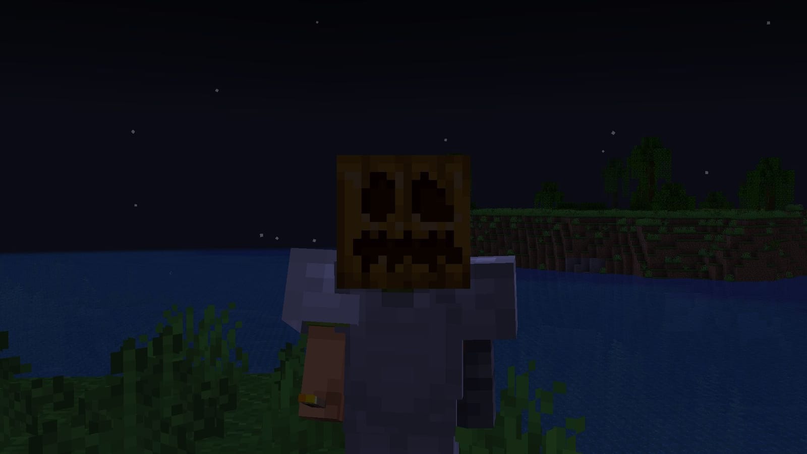 Minecraft carving pumpkin tutorial