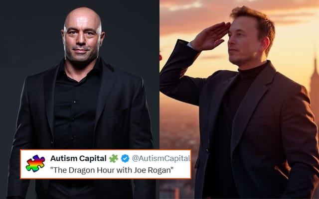 Elon Musk's one-word reply to Joe Rogan's "Rachel Maddow" pitch after ...
