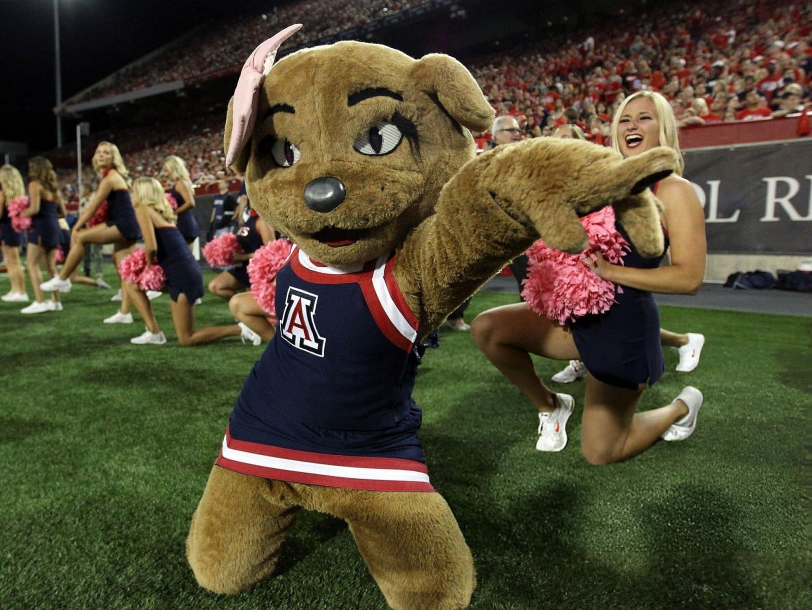 What is the Arizona Wildcats Female Mascot?