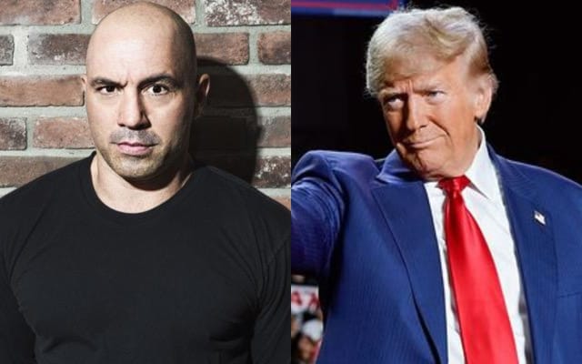 Joe Rogan reacts to Donald Trump's plan to "shatter the left-wing ...