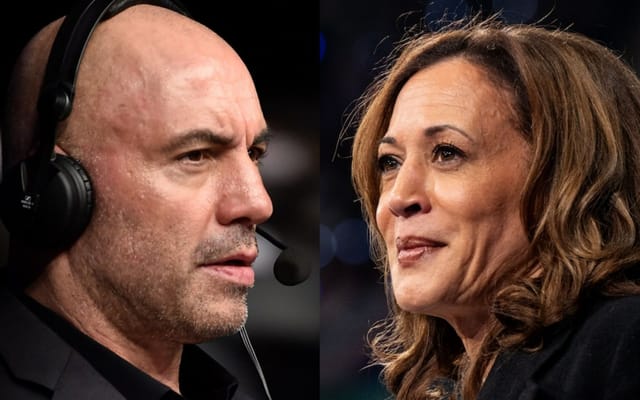 "They got cocky" - Joe Rogan compares Democrats to UFC 1 fighters ...