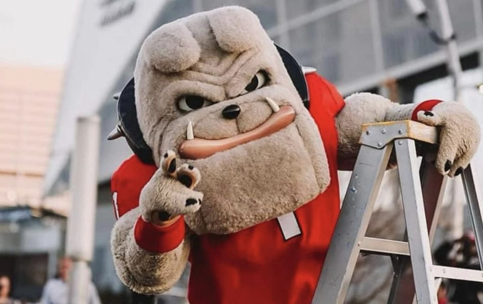 Georgia Bulldogs Mascot