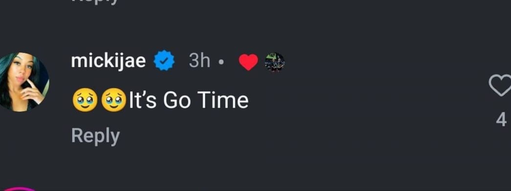 Michael Jordan's daughter Jasmine Jordan has a 3-word message for Bella ...