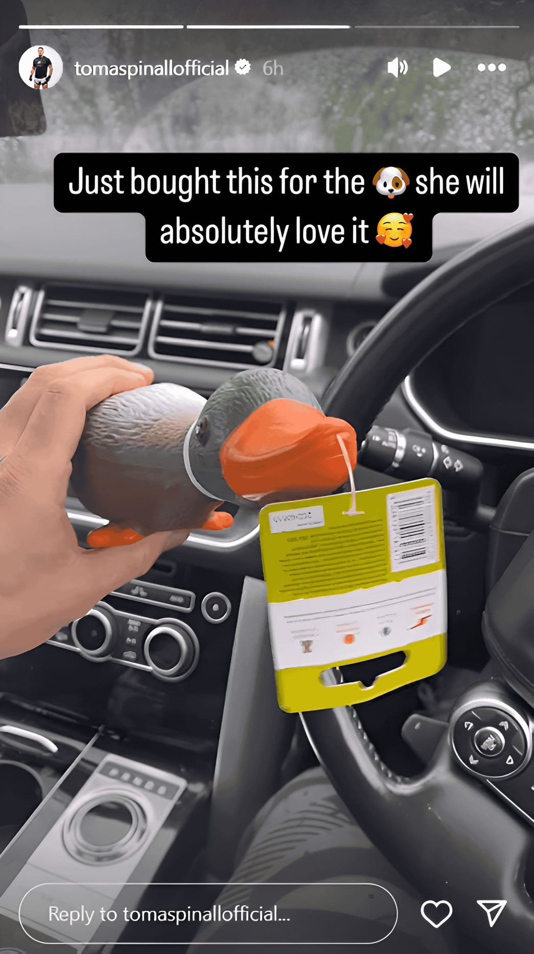 With Jon Jones in mind, Tom Aspinall buys his pet dog a toy duck [VIDEO]