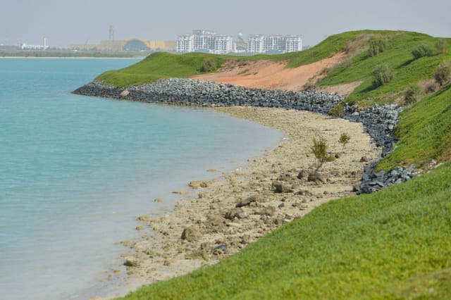 How to watch the 2024 Abu Dhabi HSBC Championship? Streaming, schedule ...