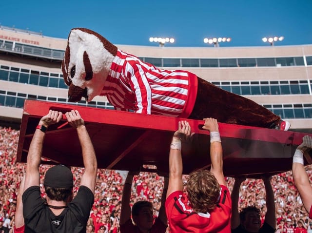 Why is Bucky Badger called Bucky?