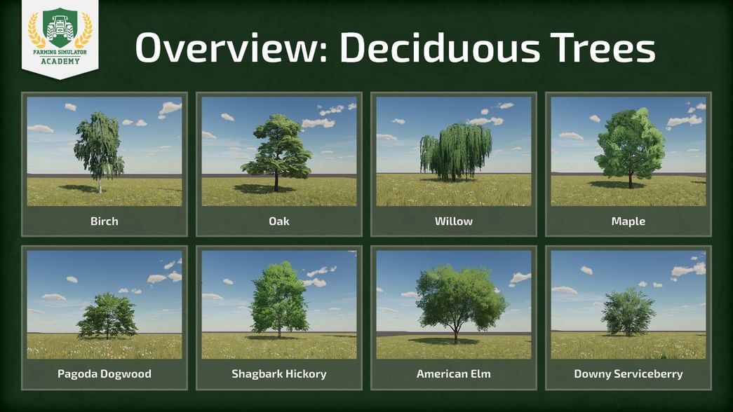All tree types in Farming Simulator 25