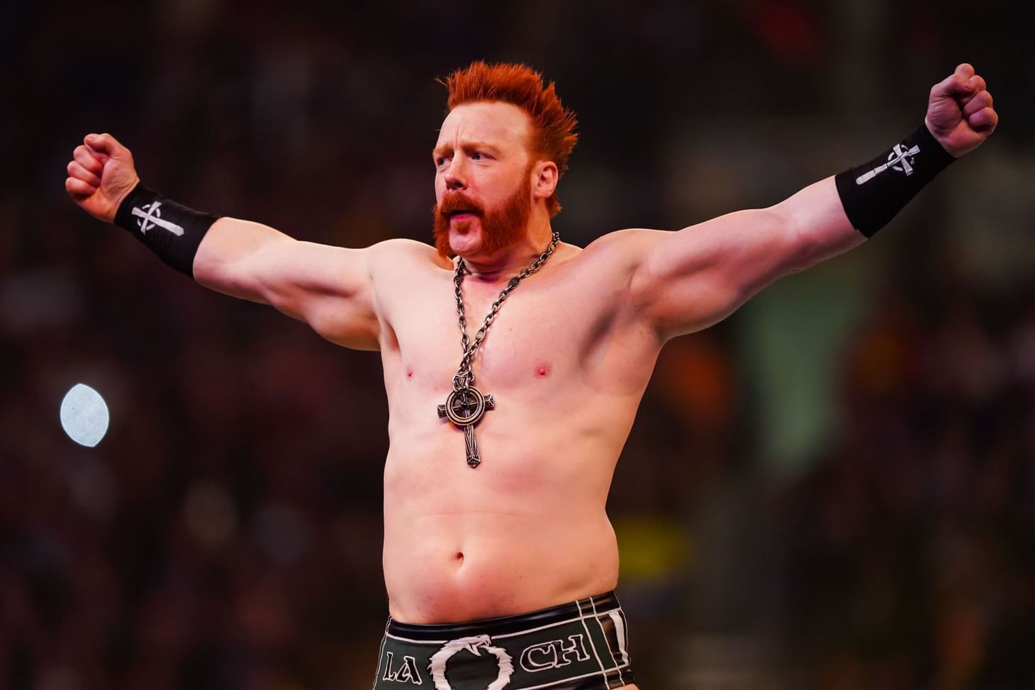 Sheamus Theme song | Discover Current Finisher Trademark Moves and more