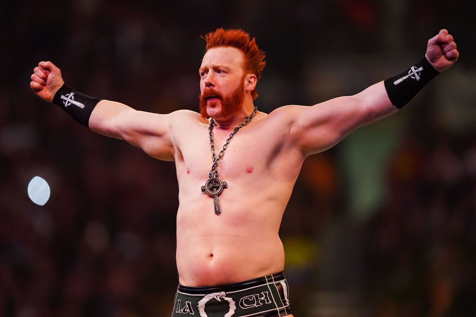 Sheamus Theme song | Discover Current Finisher Trademark Moves and more