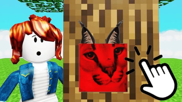 Find Floppas: A beginner's guide