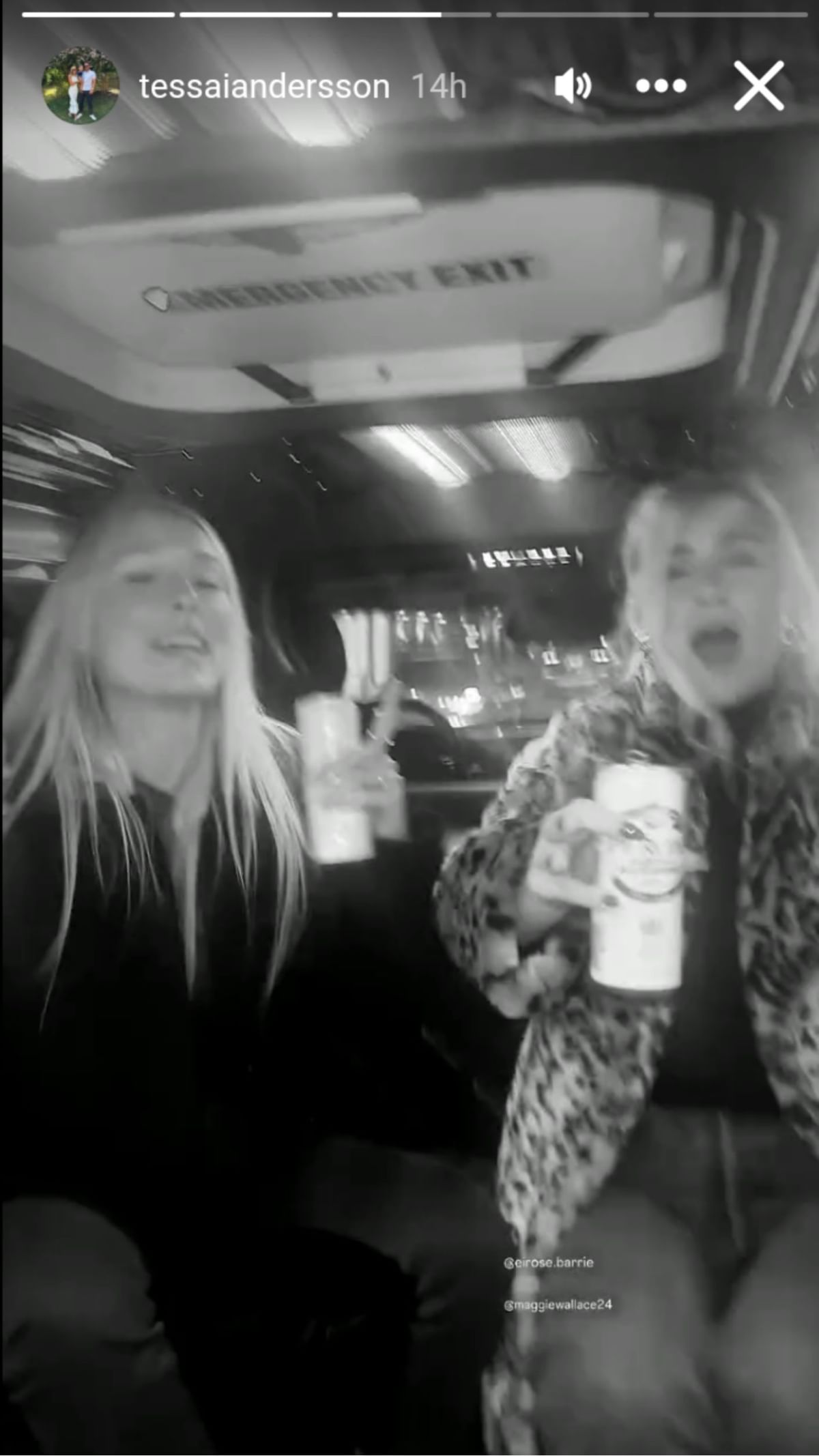 Calgary Flames players' partners attend Bruce Springsteen concert at ...