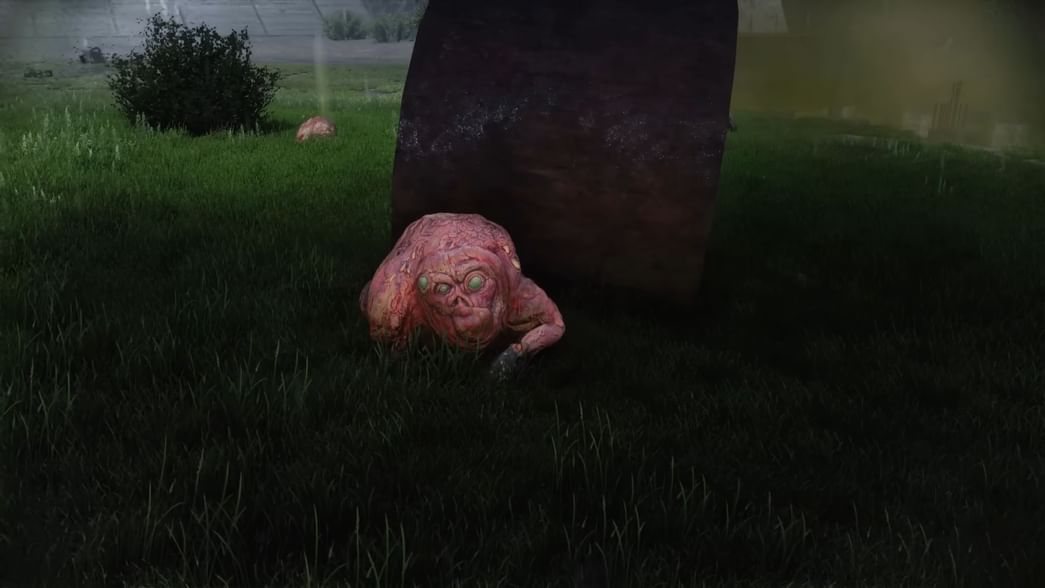 All mutants in Stalker 2