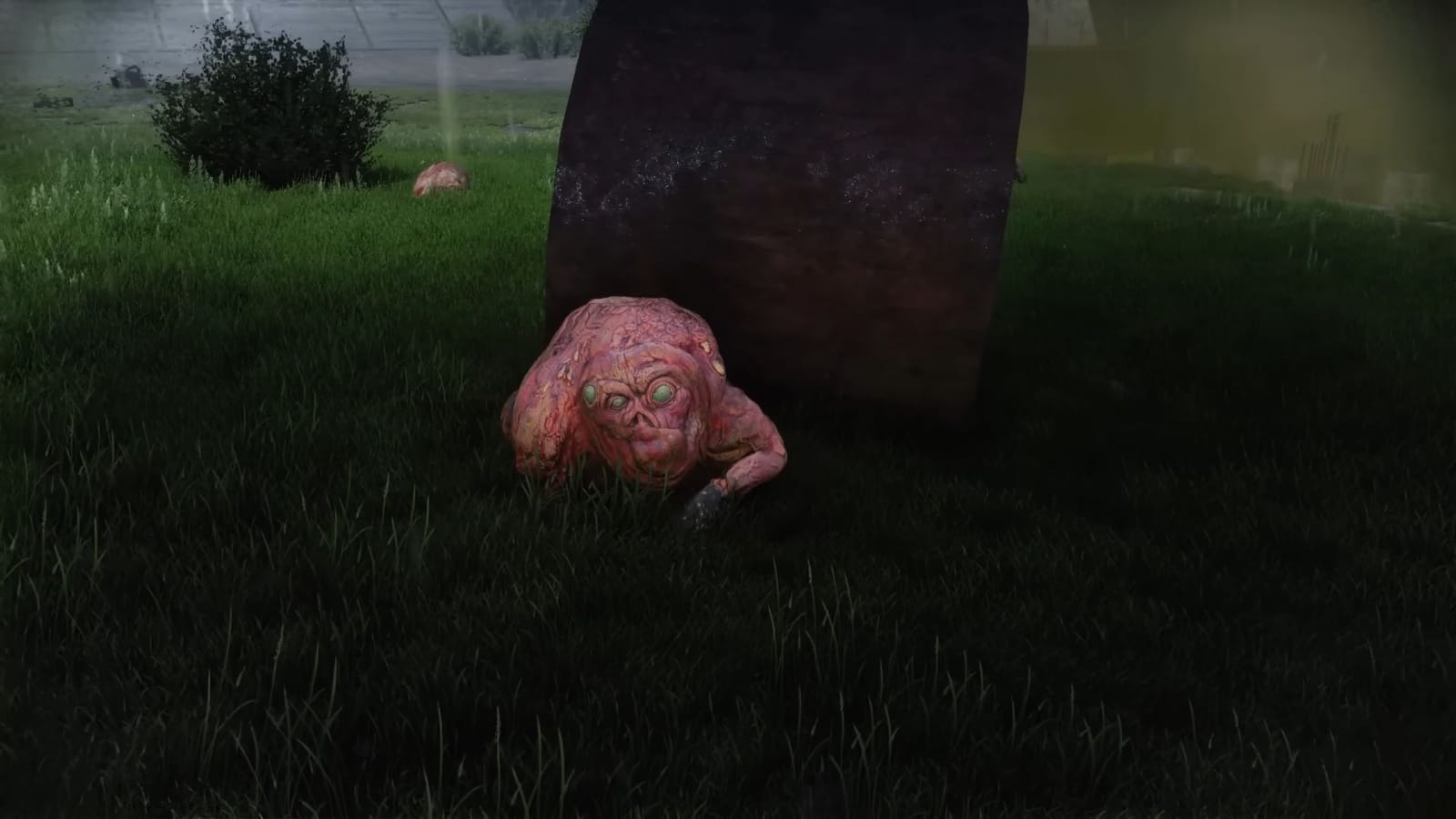 All mutants in Stalker 2