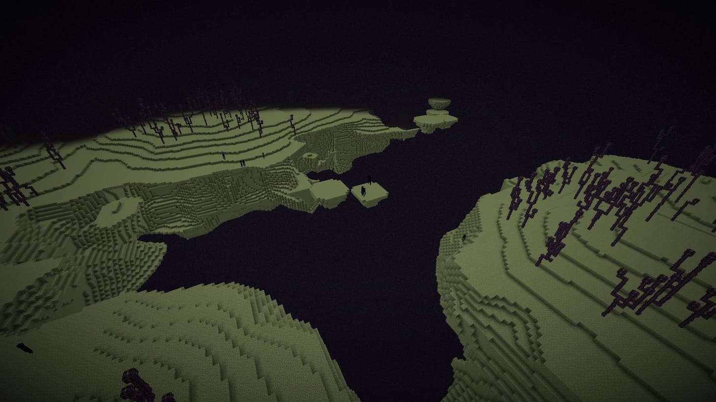 Minecraft: Should warped forest biome exist in the End as well?