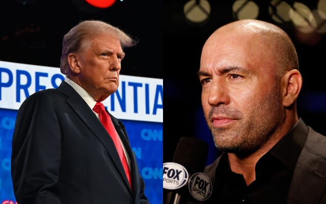 Joe Rogan evaluates the consequences of Donald Trump's return to White ...