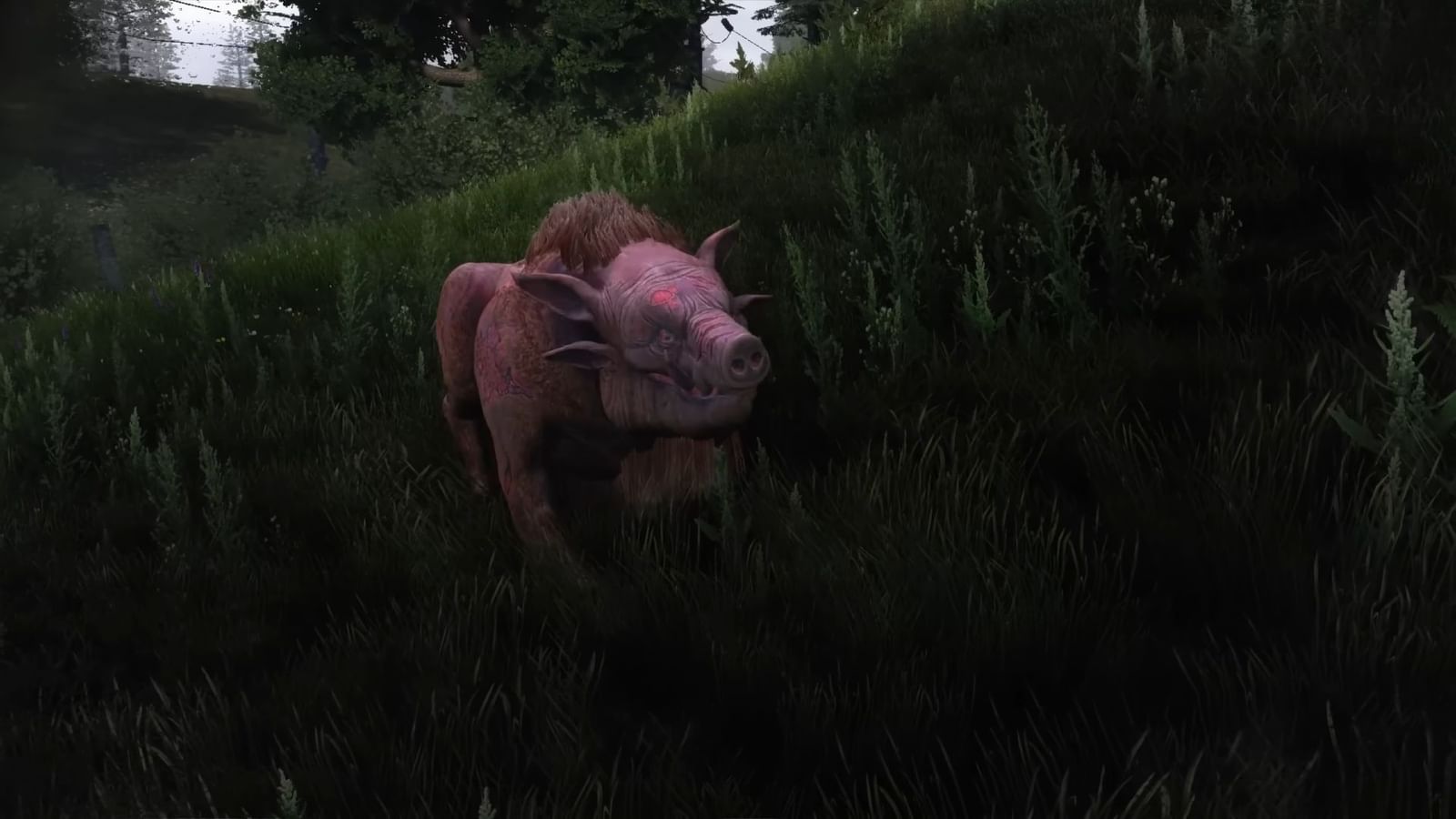 All mutants in Stalker 2