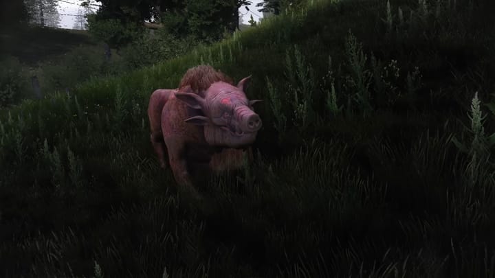 All mutants in Stalker 2