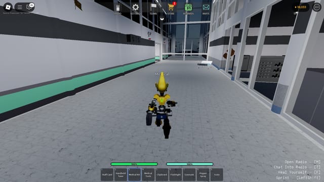 How to play Asylum Life